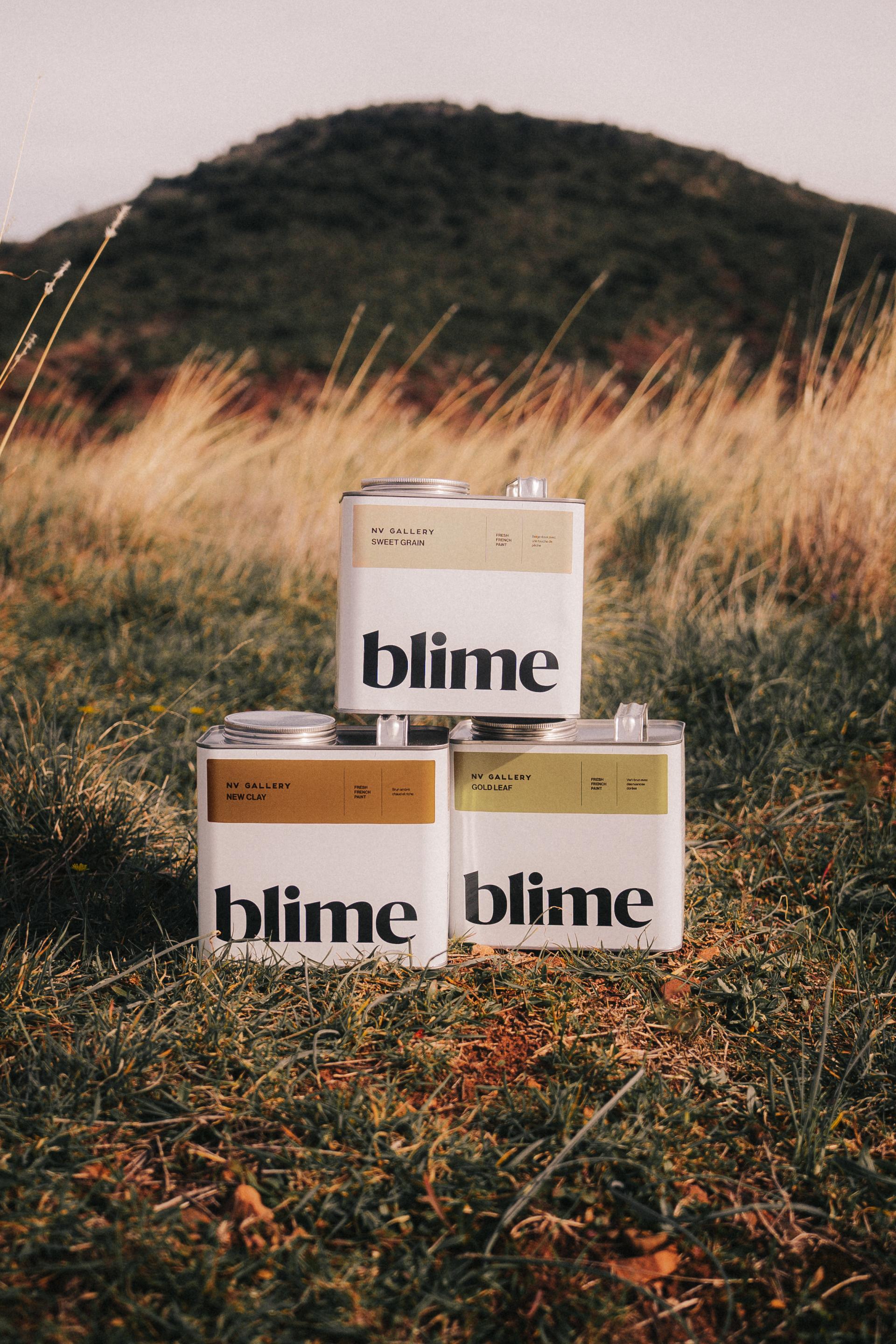 NV GALLERY et blime réinventent la peinture Made in France avec BRUT ...