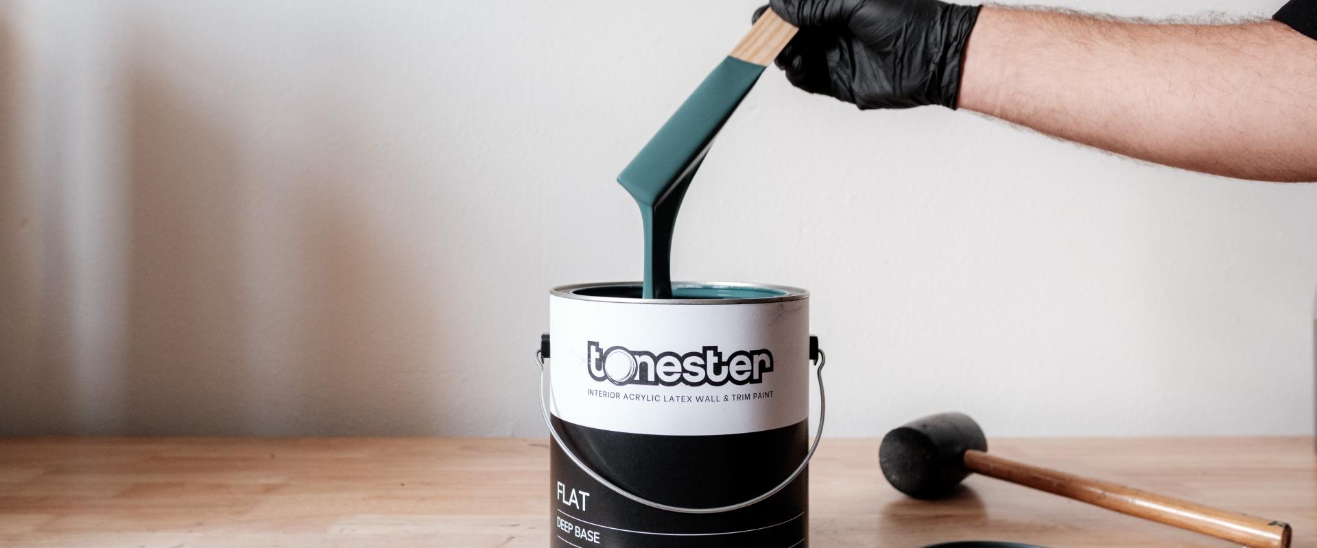 Tonester Paints | S2H Communication